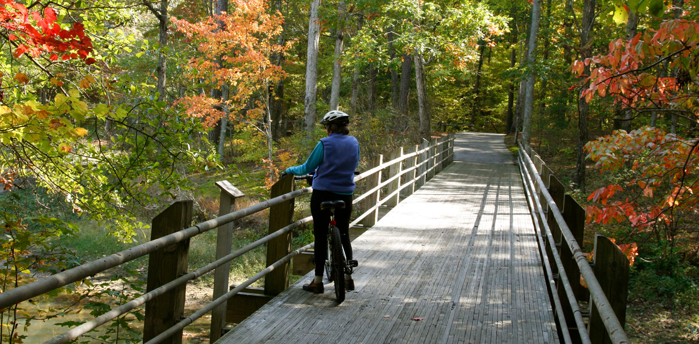 Home - Bank of Dudley